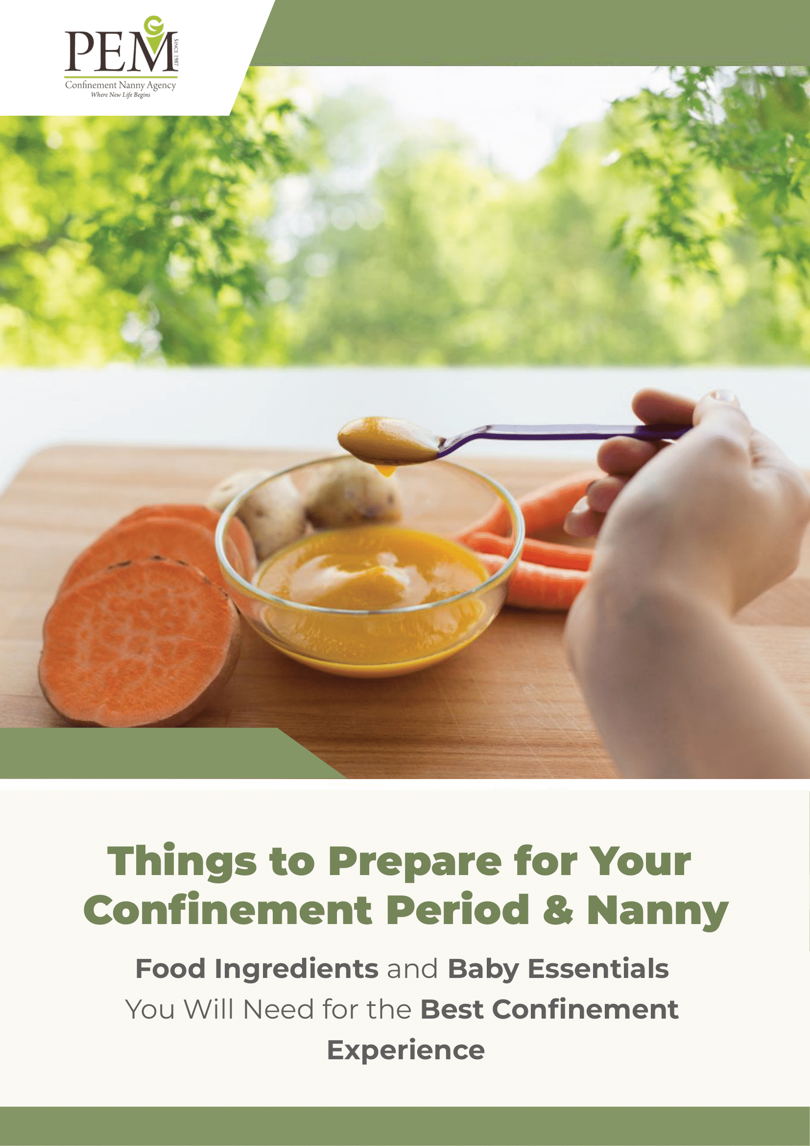 PEM Nanny Application